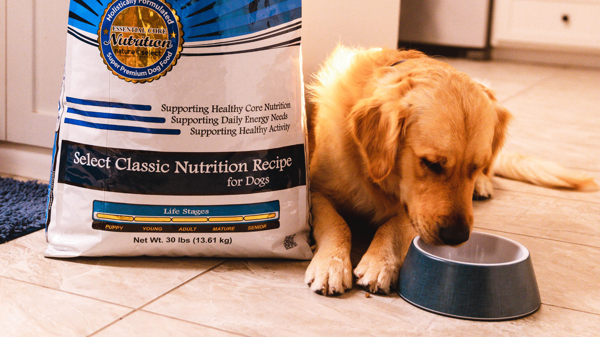 3 Decades of Excellence – Nature's Select Pet Food