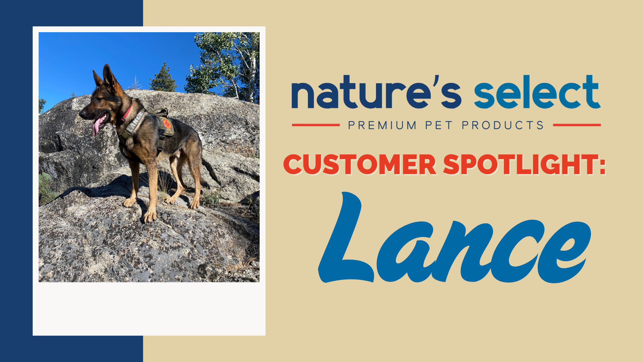 Customer Spotlight: Lance – Nature's Select Pet Food