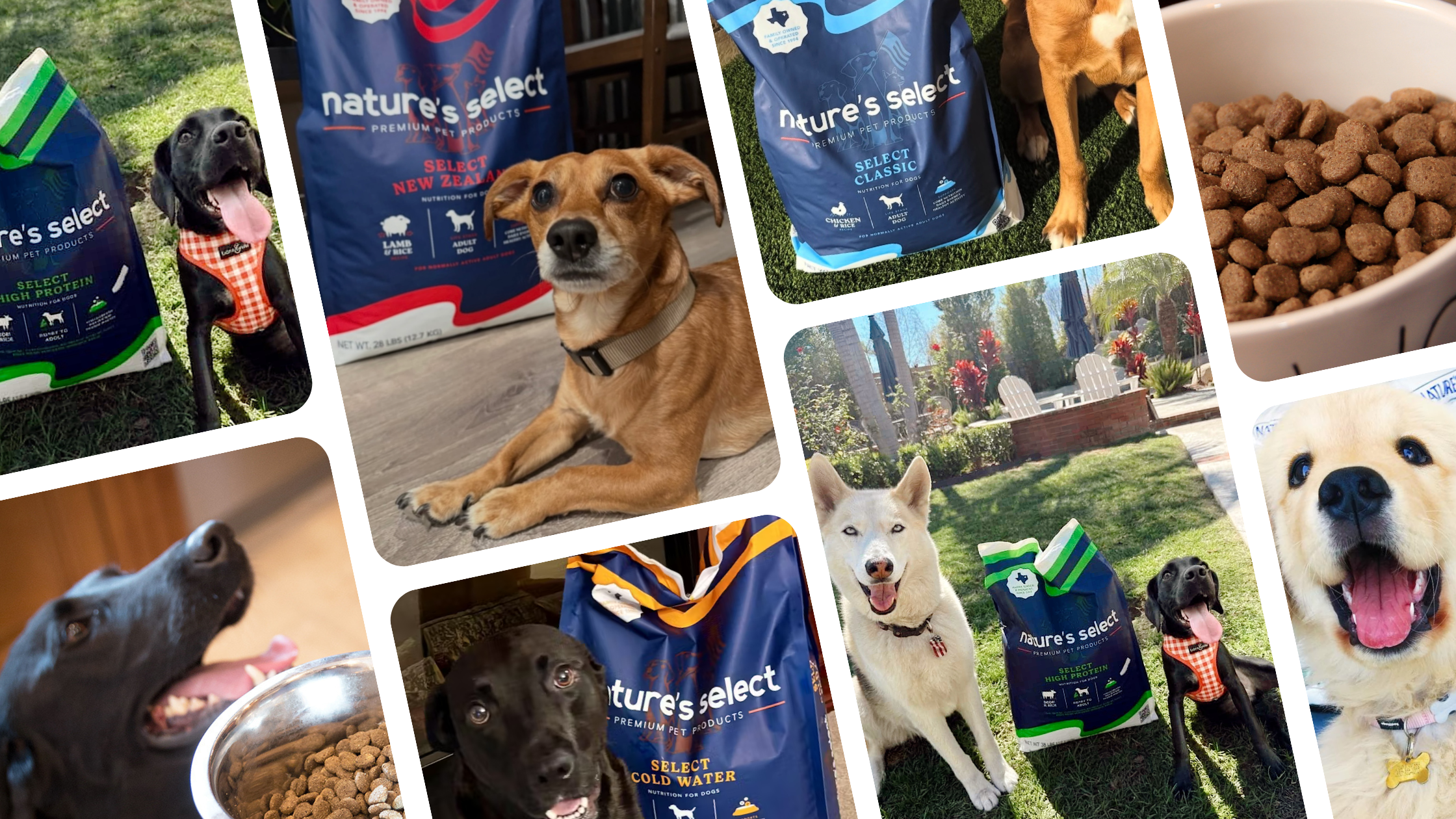 Enhanced for Spring – Nature's Select Pet Food